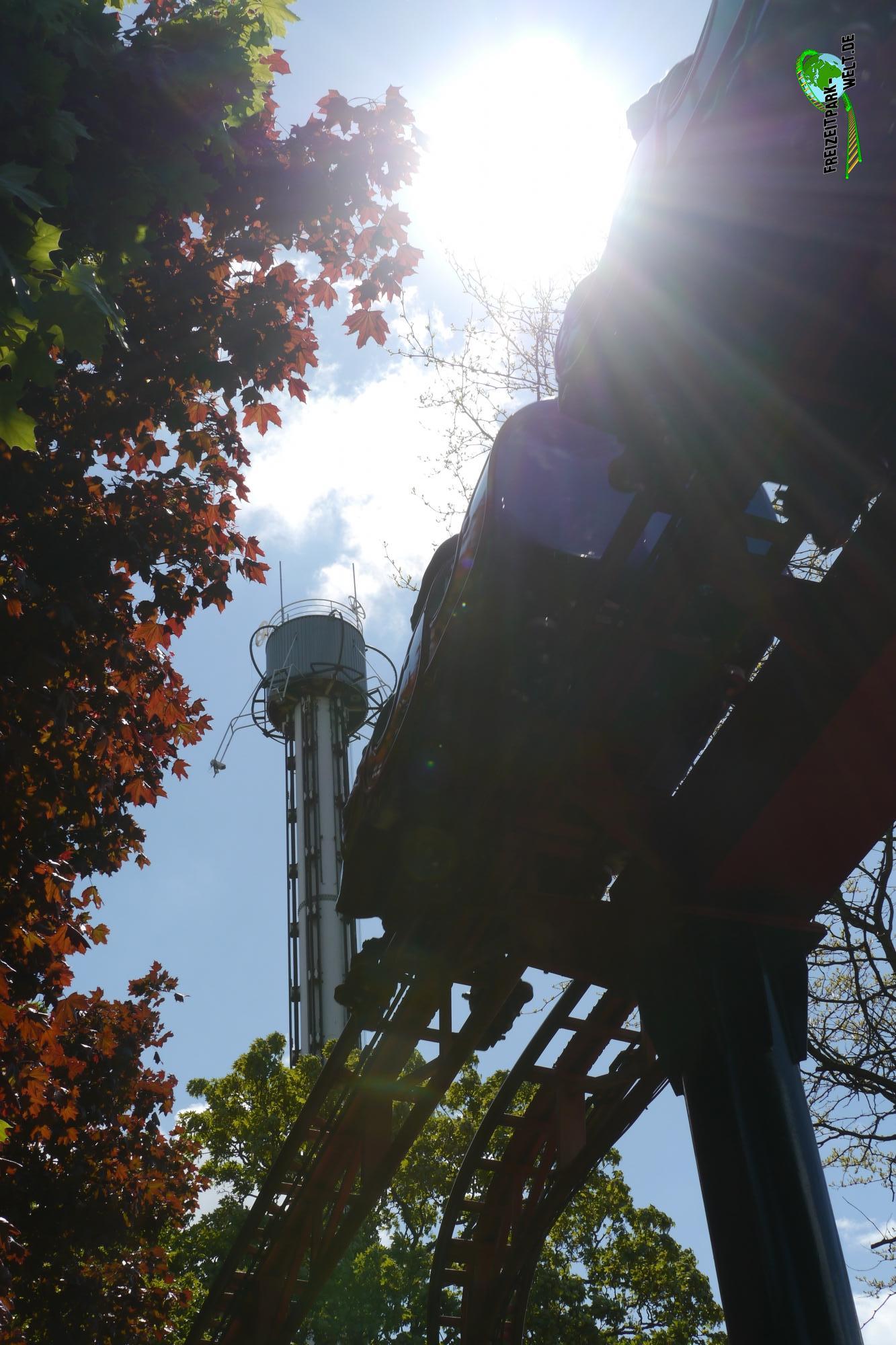 Buffalo Mountain Coaster - Drayton Manor | Freizeitpark-Welt.de