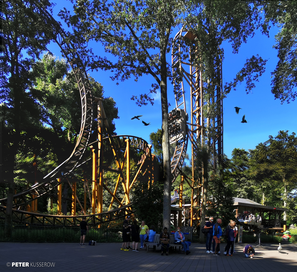Falcon - Duinrell | Freizeitpark-Welt.de